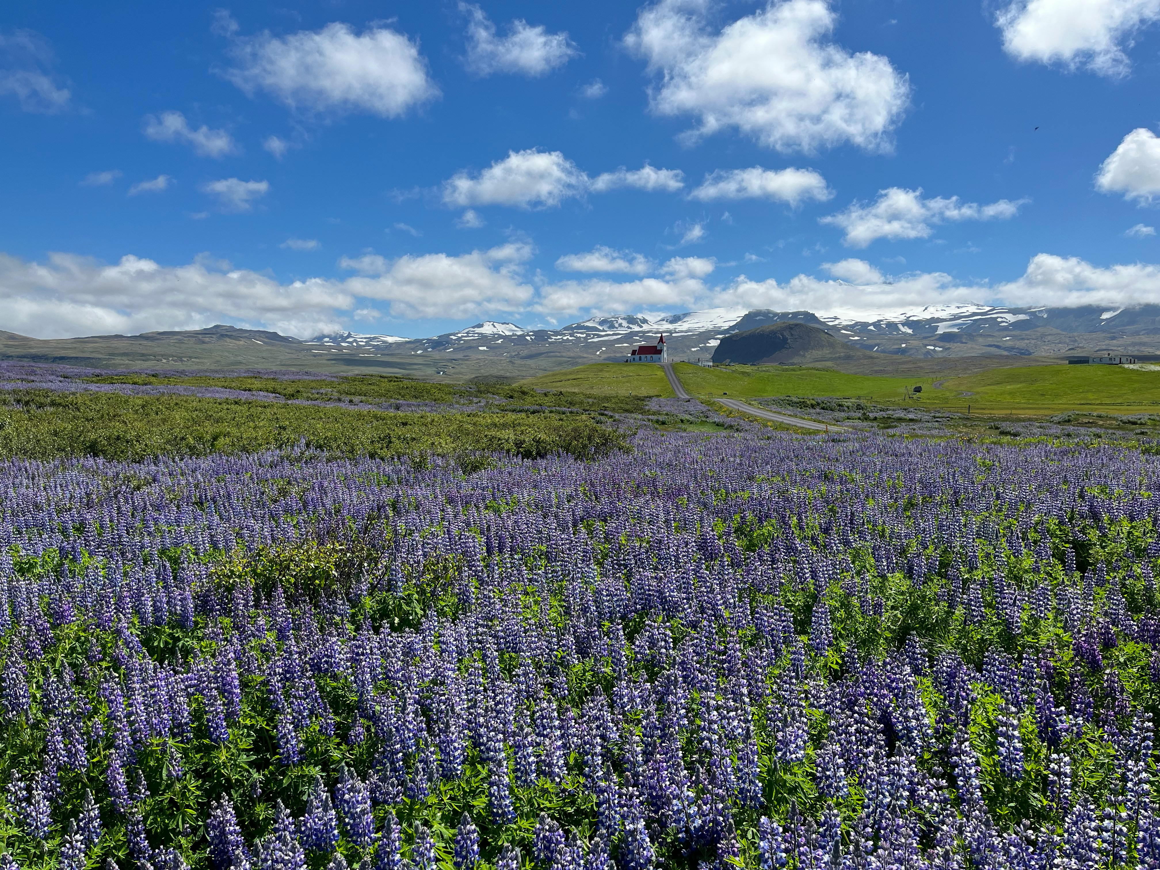 Iceland in Summer: Midnight Sun, Highlands, Puffins & Long Days ...